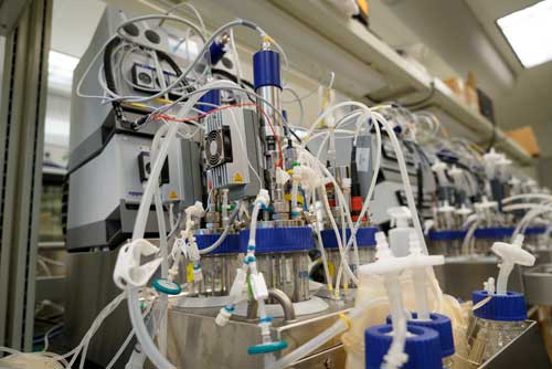 ccrm-cdmo-Bioreactors-500px | CCRM