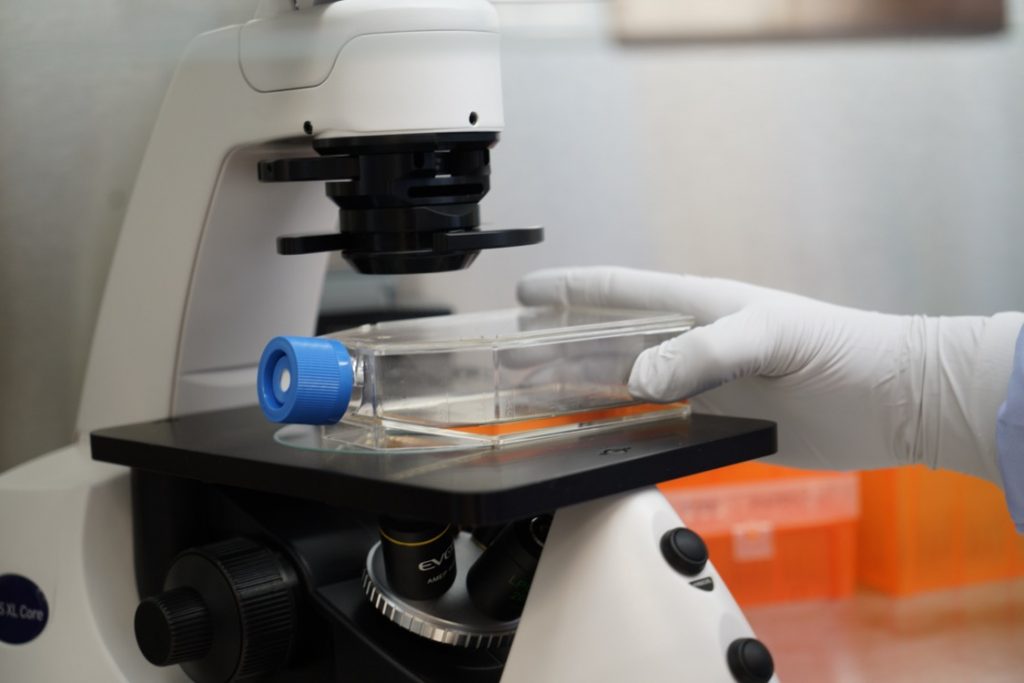 Microscope and cell culture tray | CCRM